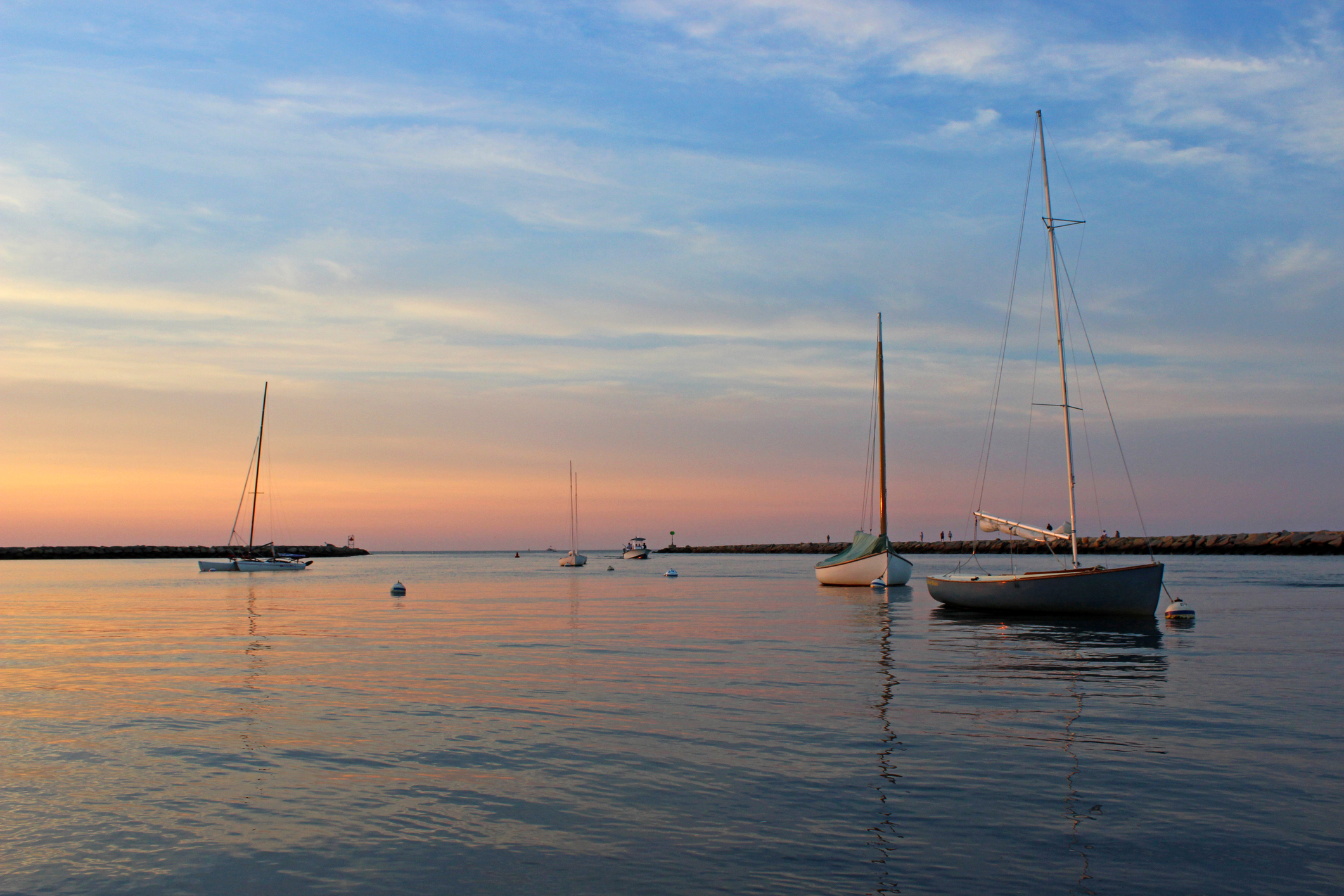 Martha Murray | Content Marketing - bluetent